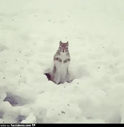 Quando ti alzi alla mattina ed esci.....… bestiaccia pubblicata da ...