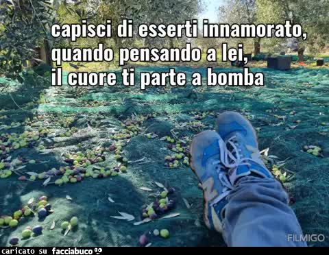 Tutti i meme su Le scarpe sagge di lello - Facciabuco.com